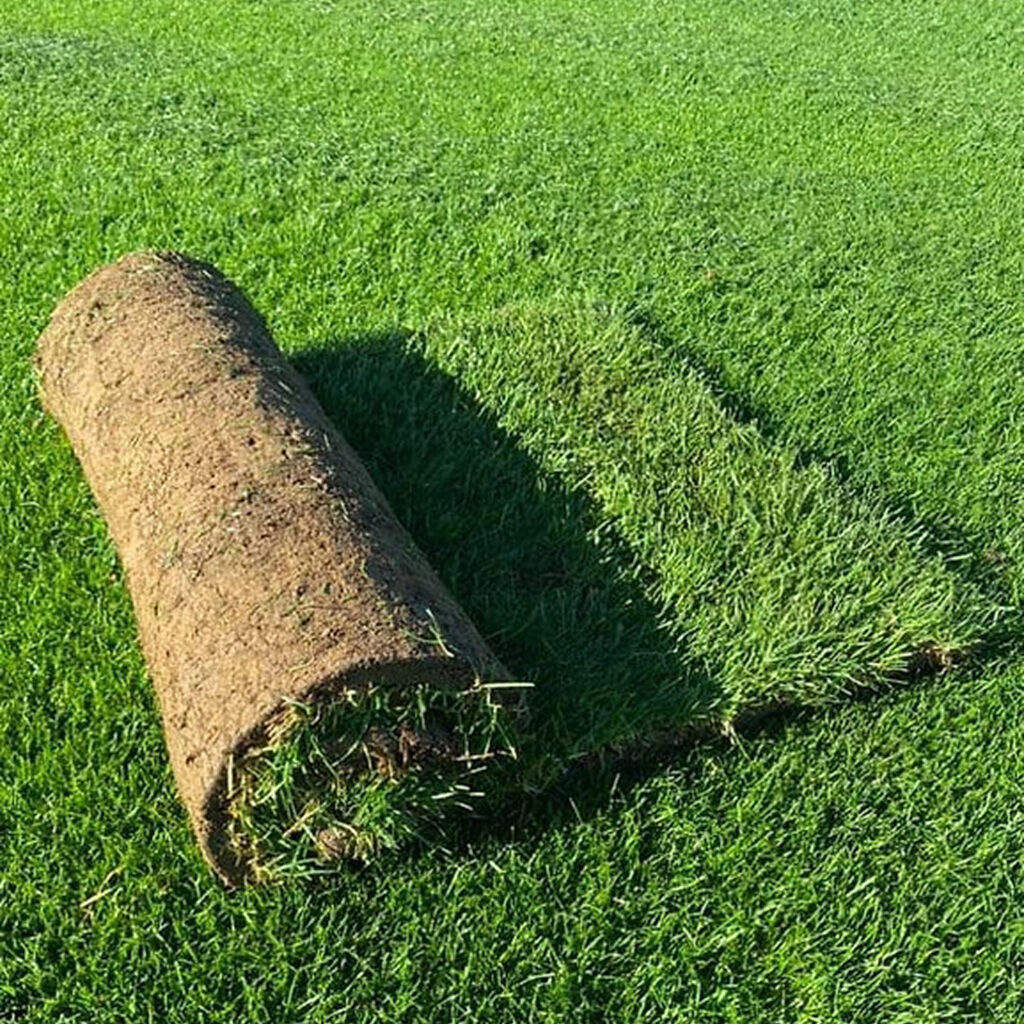 Premium Lawn Turf (sq m Roll) - Parkside Turf