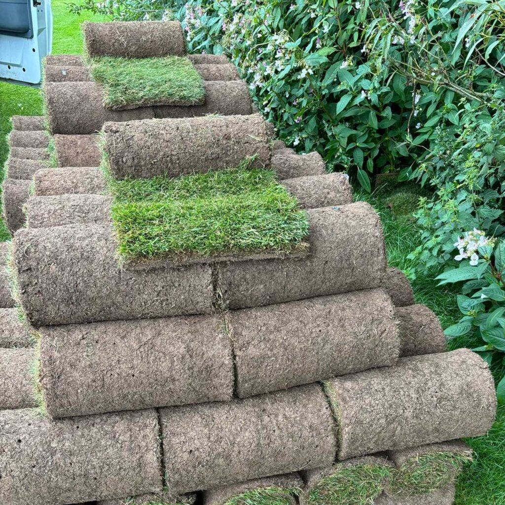 Standard Lawn Turf (sq yd Roll) - Parkside Turf
